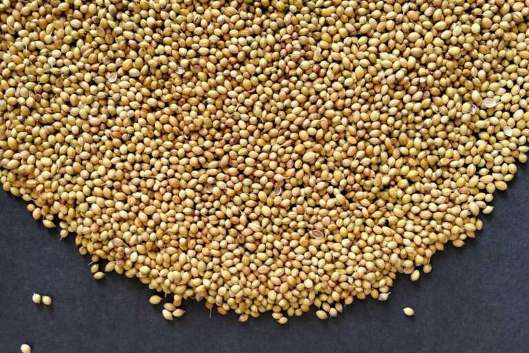 Zašto je korijander zdrav: Otkrijte 11 moći - Hype List